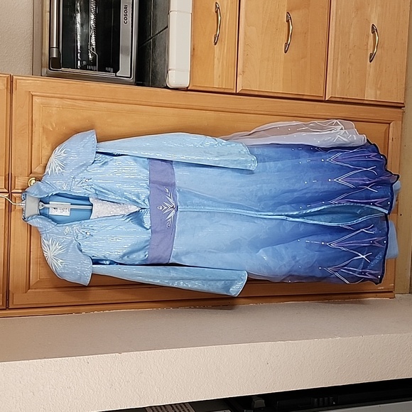 Disney | Costumes | Elsa Deluxe Costume Frozen 2 | Poshmark